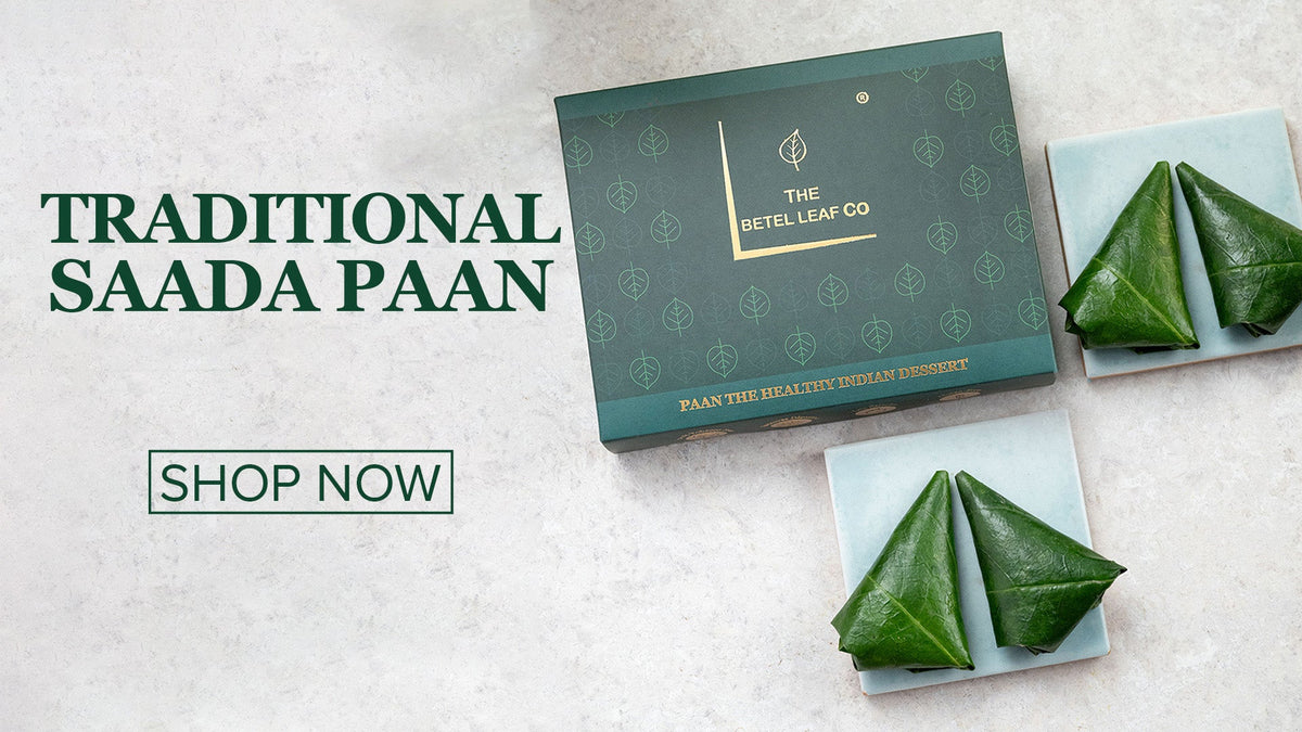 Traditional Saada Fresh Paan – The Betel Leaf Co